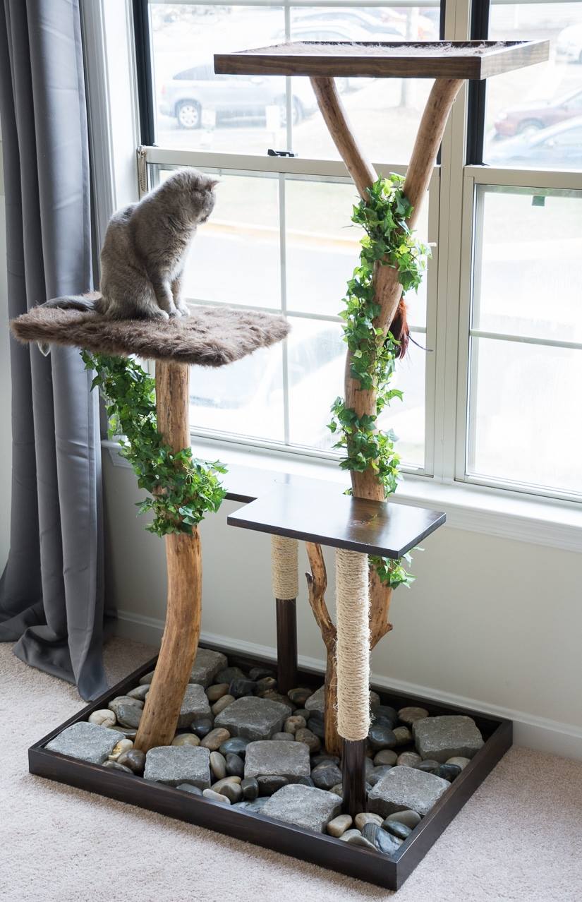 Home made Environmental Enrichment For The Indoor Kitty