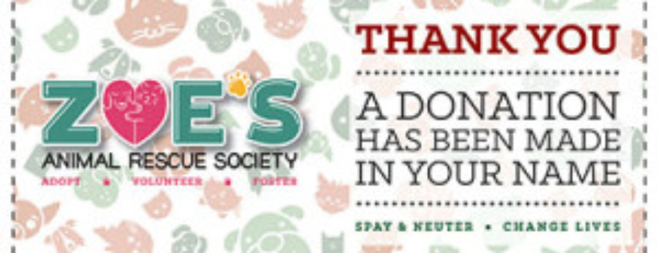 Zoe's Animal Rescue – Adopt a Dog or Cat in Edmonton, Alberta